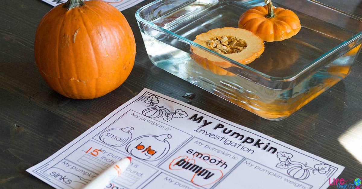 Top 13 Pumpkin Science Experiments - Education Corner