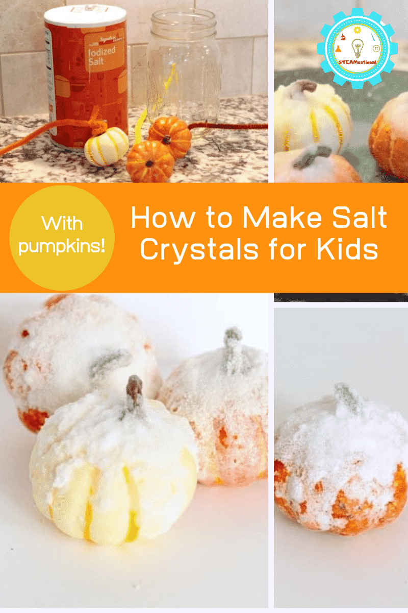 Top 13 Pumpkin Science Experiments - Education Corner
